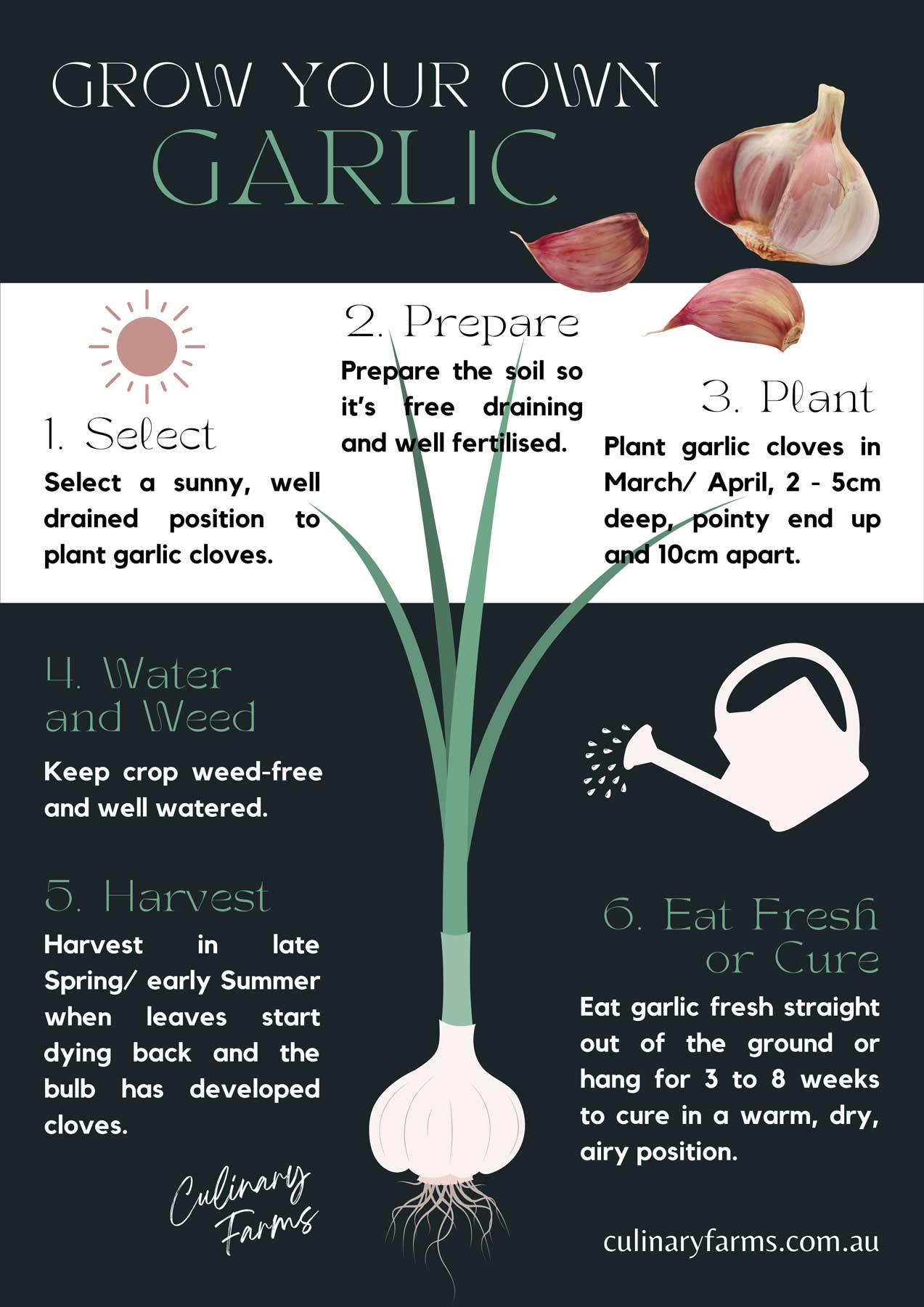 The Culinary Farm - The Culinary Farm